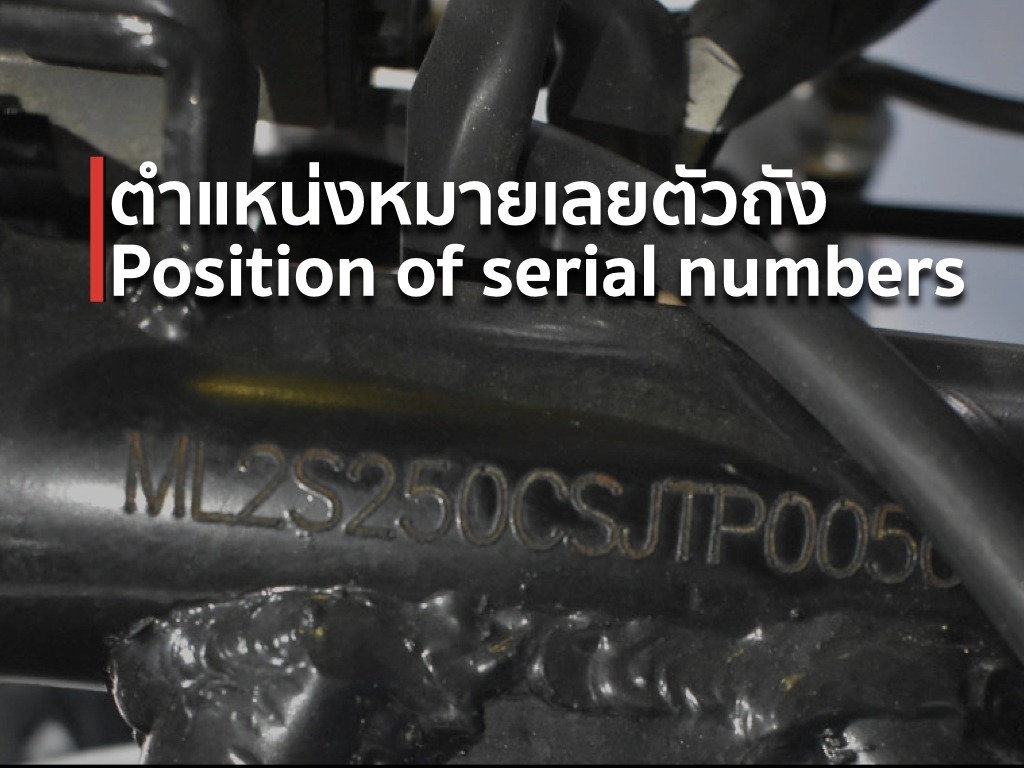 Position of serial numbers - MAKINA 250 - Stallions Motor