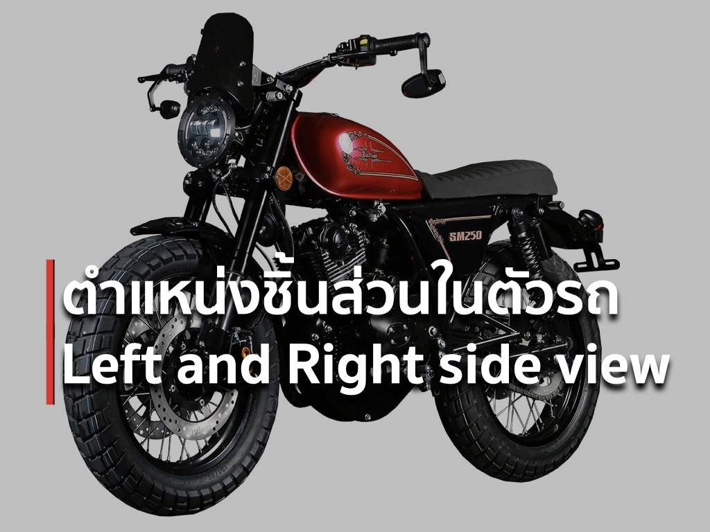 ตำแหน่งชิ้นส่วนในตัวรถ - SM 250 - Stallions Motor