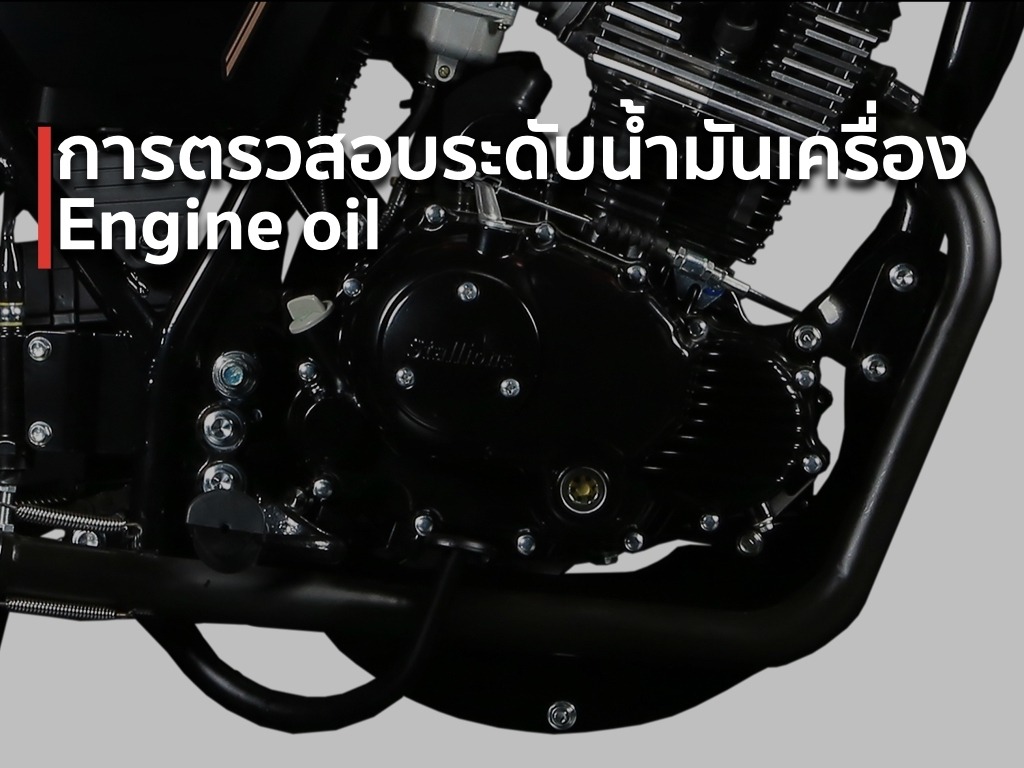 Engine oil - SM 250 - Stallions Motor